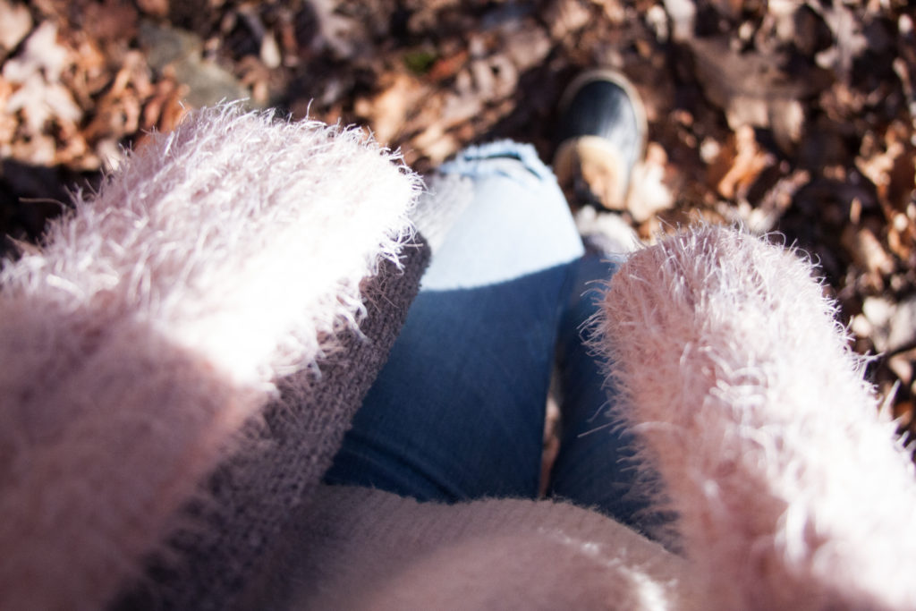 NC Black Mountains: Celo Hike — RG Daily